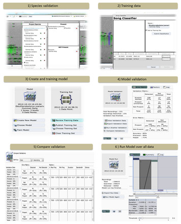 Real-time bioacoustics monitoring and automated species identification ...