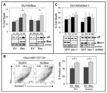 ABT-737, a small molecule Bcl-2/Bcl-xL antagonist, increases antimitotic-mediated apoptosis in ...