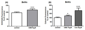 Cannabidiol changes P-gp and BCRP expression in trophoblast cell lines ...