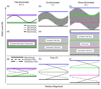 Between tide and wave marks: a unifying model of physical zonation on ...