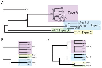PhyBin: binning trees by topology [PeerJ]