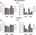 Bacterial curli protein promotes the conversion of PAP248-286 into the ...