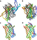 PeptideBuilder: A simple Python library to generate model peptides [PeerJ]