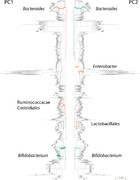 PhyloSift: phylogenetic analysis of genomes and metagenomes [PeerJ]