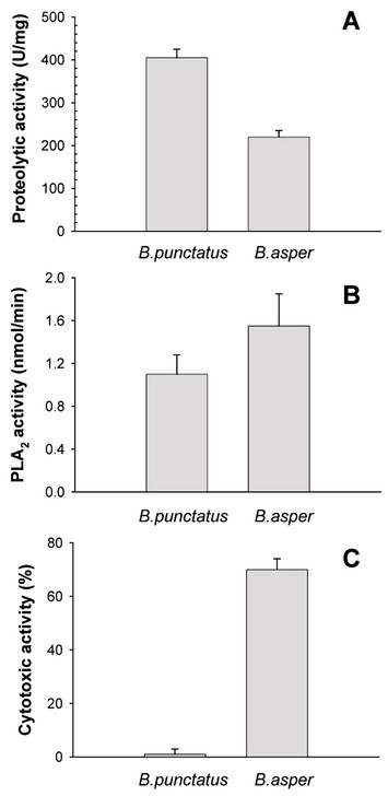 Snake venomics of Bothrops punctatus, a semiarboreal pitviper species ...