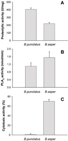 Snake venomics of Bothrops punctatus, a semiarboreal pitviper species ...