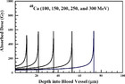 Tumor vascular disruption using various radiation types [PeerJ]