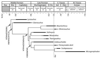 Bone microstructure and the evolution of growth patterns in Permo ...