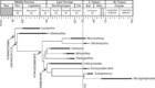 Bone microstructure and the evolution of growth patterns in Permo ...