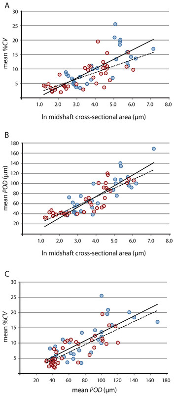 Bone microstructure and the evolution of growth patterns in Permo ...