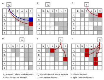 Modulatory interactions between the default mode network and task ...