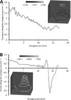 On growth and form of irregular coiled-shell of a terrestrial snail ...
