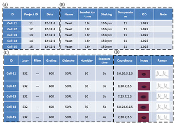 QSpec: online control and data analysis system for single-cell Raman ...