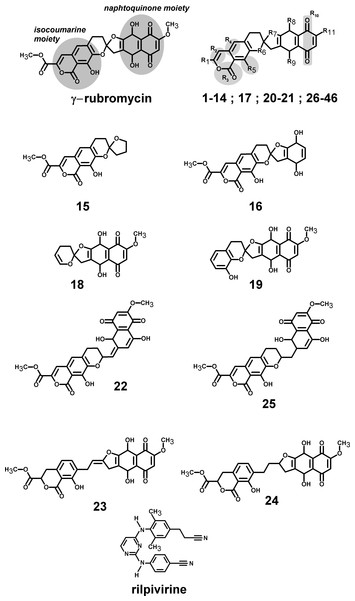 Computational development of rubromycin-based lead compounds for HIV-1 ...