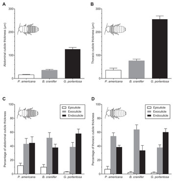 Mechanical properties of the cuticles of three cockroach species that ...