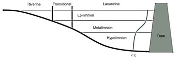 Applying a reservoir functional-zone paradigm to littoral bluegills ...