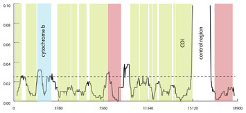 Mitochondrial cytochrome b sequence data are not an improvement for ...