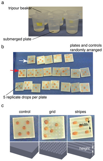Bio-inspired design of ice-retardant devices based on benthic marine ...