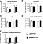 Effect of obesity and exercise on the expression of the novel myokines ...