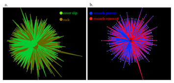 The role of macrobiota in structuring microbial communities along rocky ...