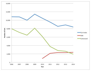 Study of the effect on shelter cat intakes and euthanasia from a ...