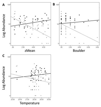 Spatial variation in the littoral vertebrate community of a reservoir ...