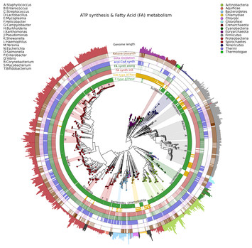 Compact graphical representation of phylogenetic data and metadata with ...