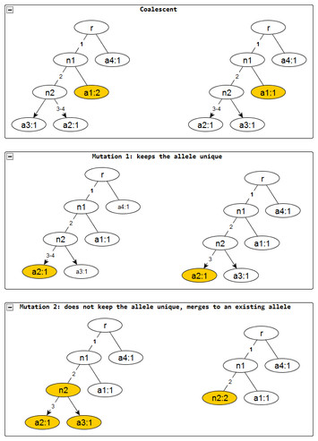 Coalescent: an open-science framework for importance sampling in ...