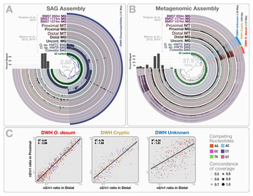 Anvi’o: an advanced analysis and visualization platform for ‘omics data ...
