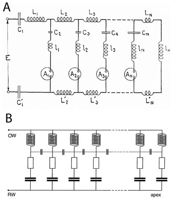 The vibrating reed frequency meter: digital investigation of an early ...