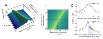 The vibrating reed frequency meter: digital investigation of an early ...