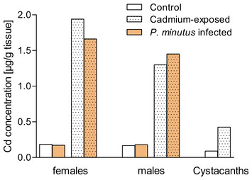 Effects of the acanthocephalan Polymorphus minutus and the ...