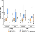 Effects of the acanthocephalan Polymorphus minutus and the ...