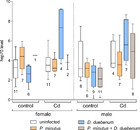 Effects of the acanthocephalan Polymorphus minutus and the ...
