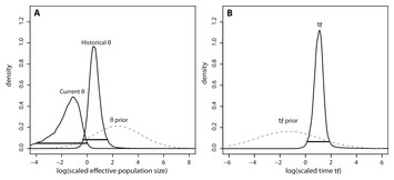 Genetic models reveal historical patterns of sea lamprey population ...