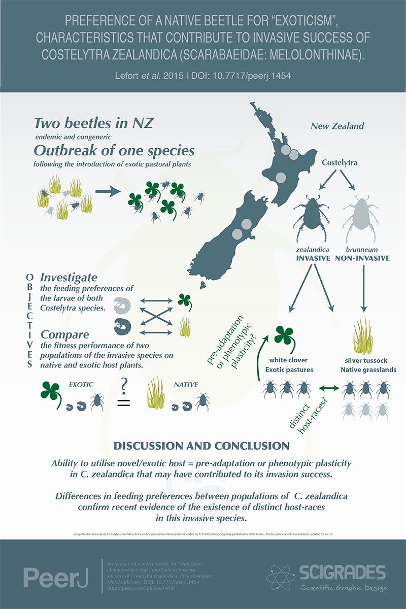 Preference of a native beetle for “exoticism,” characteristics that ...