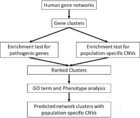 Using network clustering to predict copy number variations associated with health disparities ...