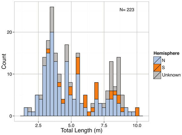Sizing ocean giants: patterns of intraspecific size variation in marine ...