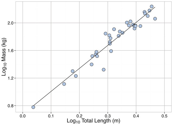 Sizing ocean giants: patterns of intraspecific size variation in marine ...