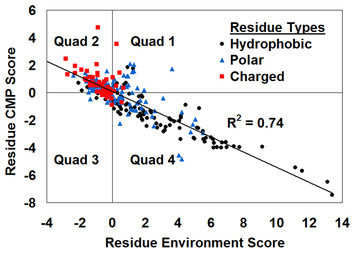 Modeling functional changes to Escherichia coli thymidylate synthase ...