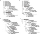 The monophyly of Susisuchidae (Crocodyliformes) and its phylogenetic ...