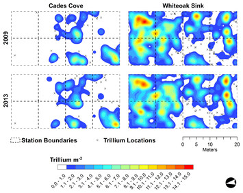 Spatial patterning and floral synchrony among trillium populations with ...