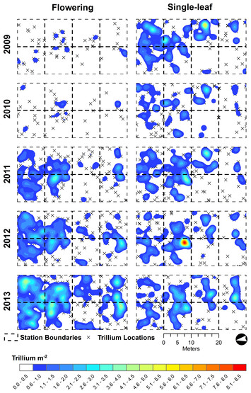 Spatial patterning and floral synchrony among trillium populations with ...
