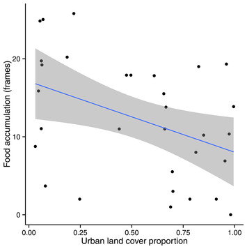 Honey bee success predicted by landscape composition in Ohio, USA [PeerJ]