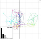 Patterns of evolution of MHC class II genes of crows (Corvus) suggest ...