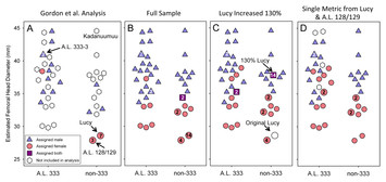 From Lucy to Kadanuumuu: balanced analyses of Australopithecus ...