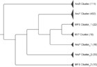 The diversity of membrane transporters encoded in bacterial arsenic ...