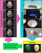 Using 3D printed eggs to examine the egg-rejection behaviour of wild ...