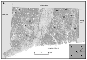 Bird biodiversity assessments in temperate forest: the value of point ...