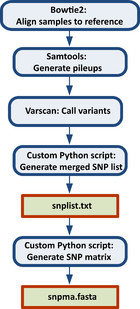 CFSAN SNP Pipeline: an automated method for constructing SNP matrices ...